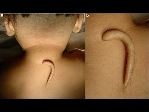 Humans With Tails - YouTube