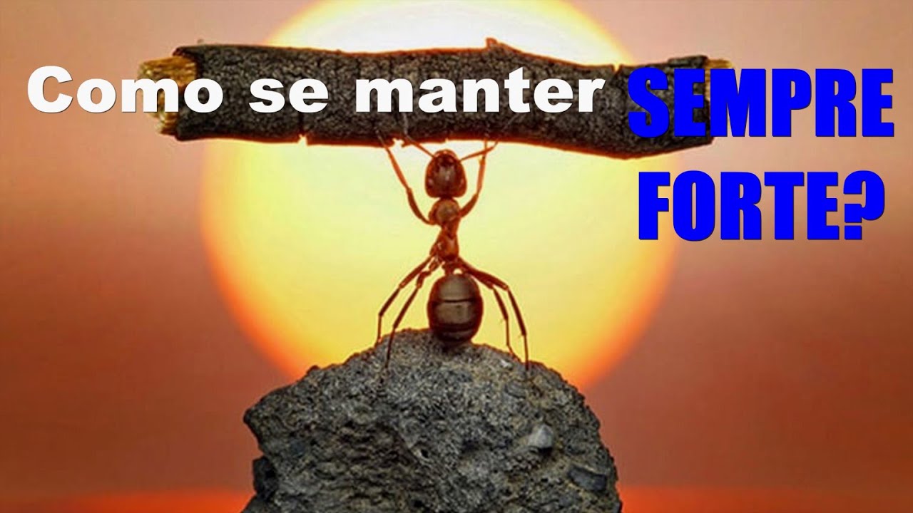 Como se manter SEMPRE FORTE na presença de Deus? | David Daniel - YouTube