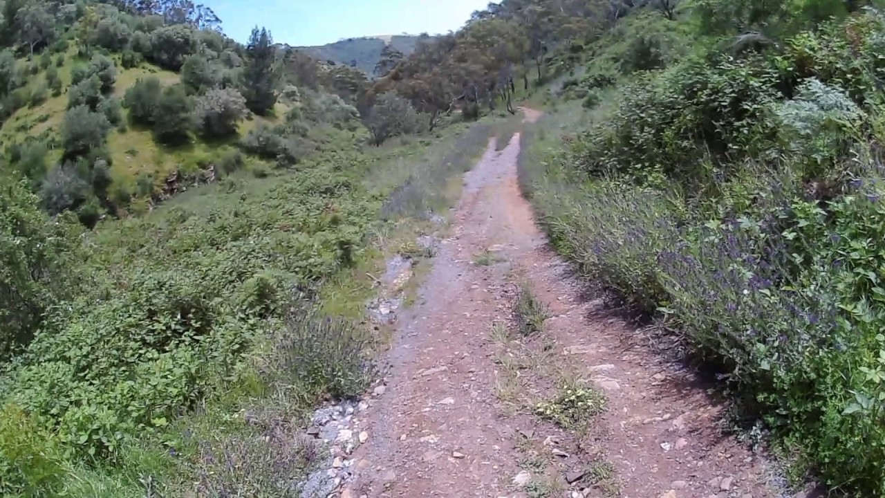 Riding down from Long Ridge Lookout in Adelaide - YouTube