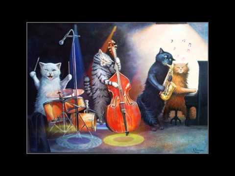 leuke poesjes 1 - YouTube