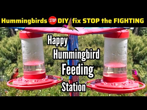How to STOP Hummingbirds Fighting at Hummingbird Feeder Protect from Sun & Predators & Bird Blinder