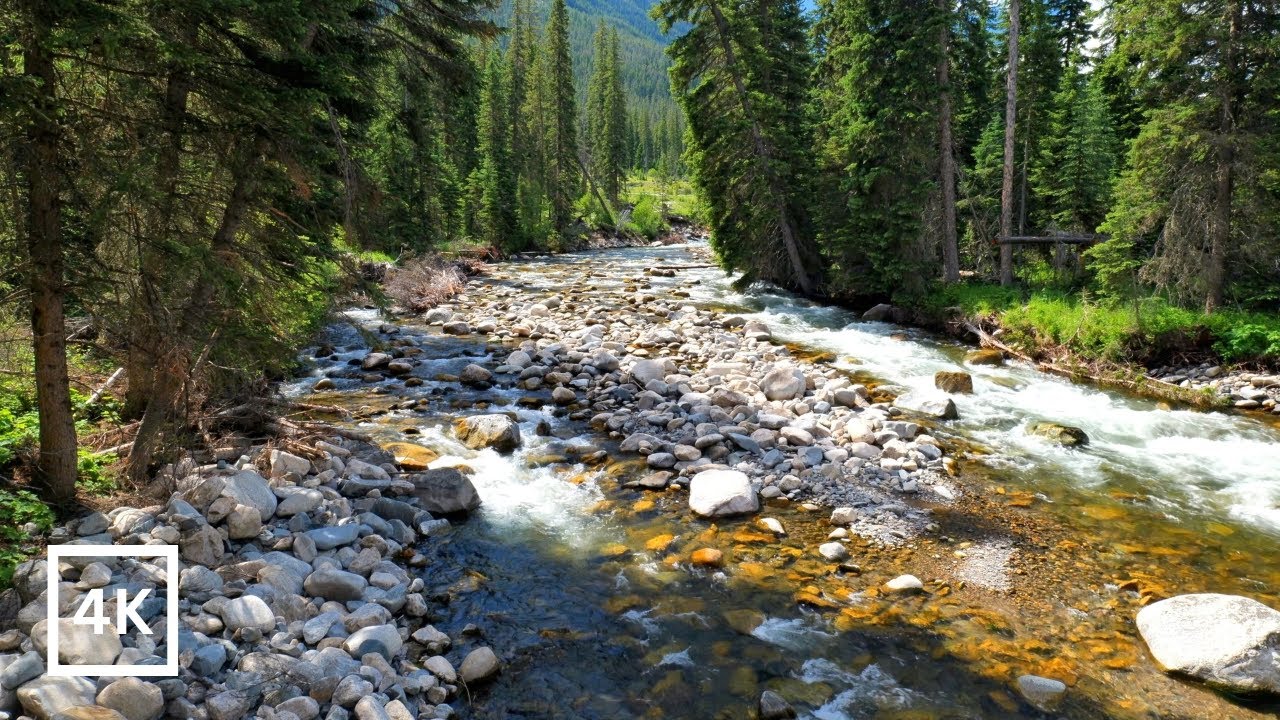 4K Summer River Rapids | Montana Backcountry | Forest River Nature ...