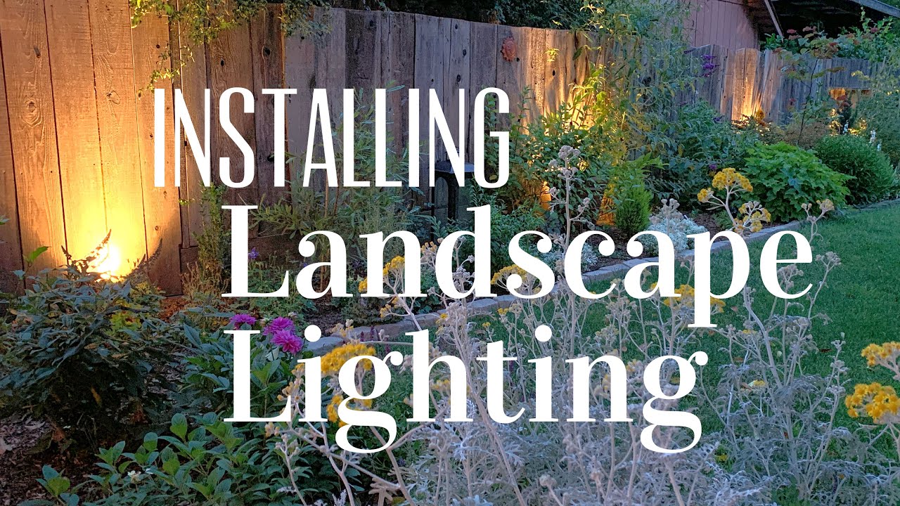 Installing Easy Landscape Lights 💡🌳 - YouTube