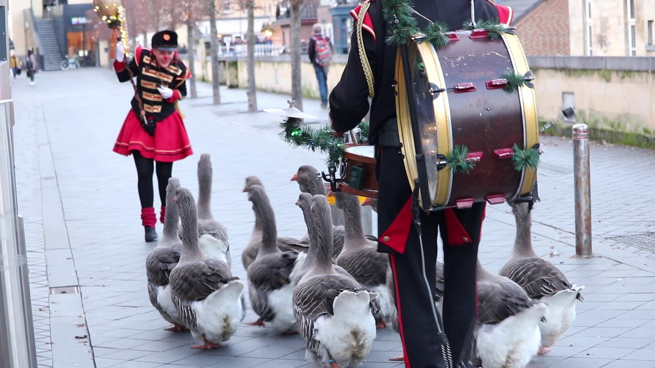 goose parade in valkenburg 荷蘭 - YouTube