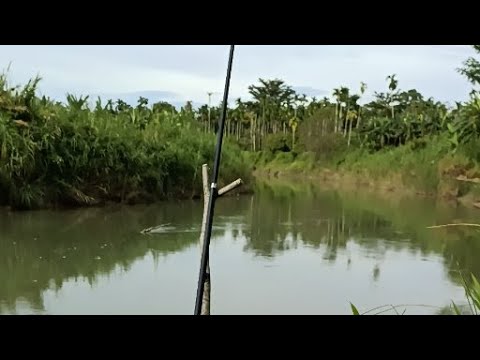 Mancing sore - YouTube