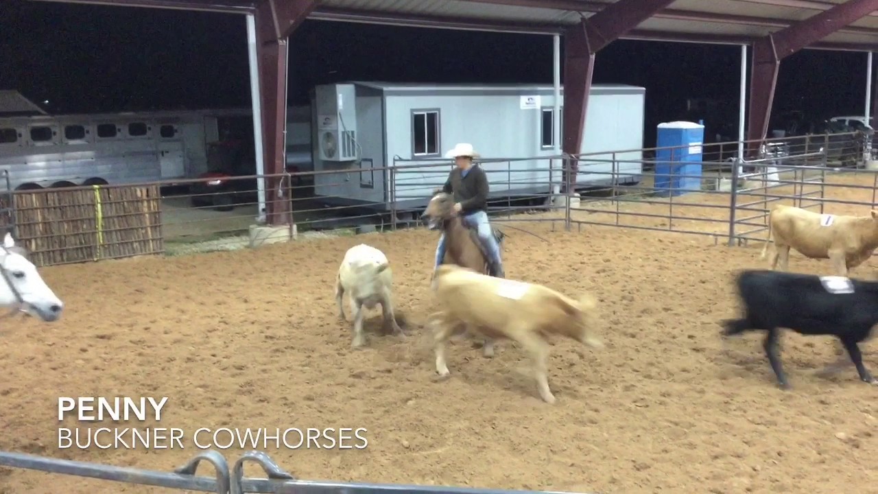 Penny Buckner CowHorses - YouTube