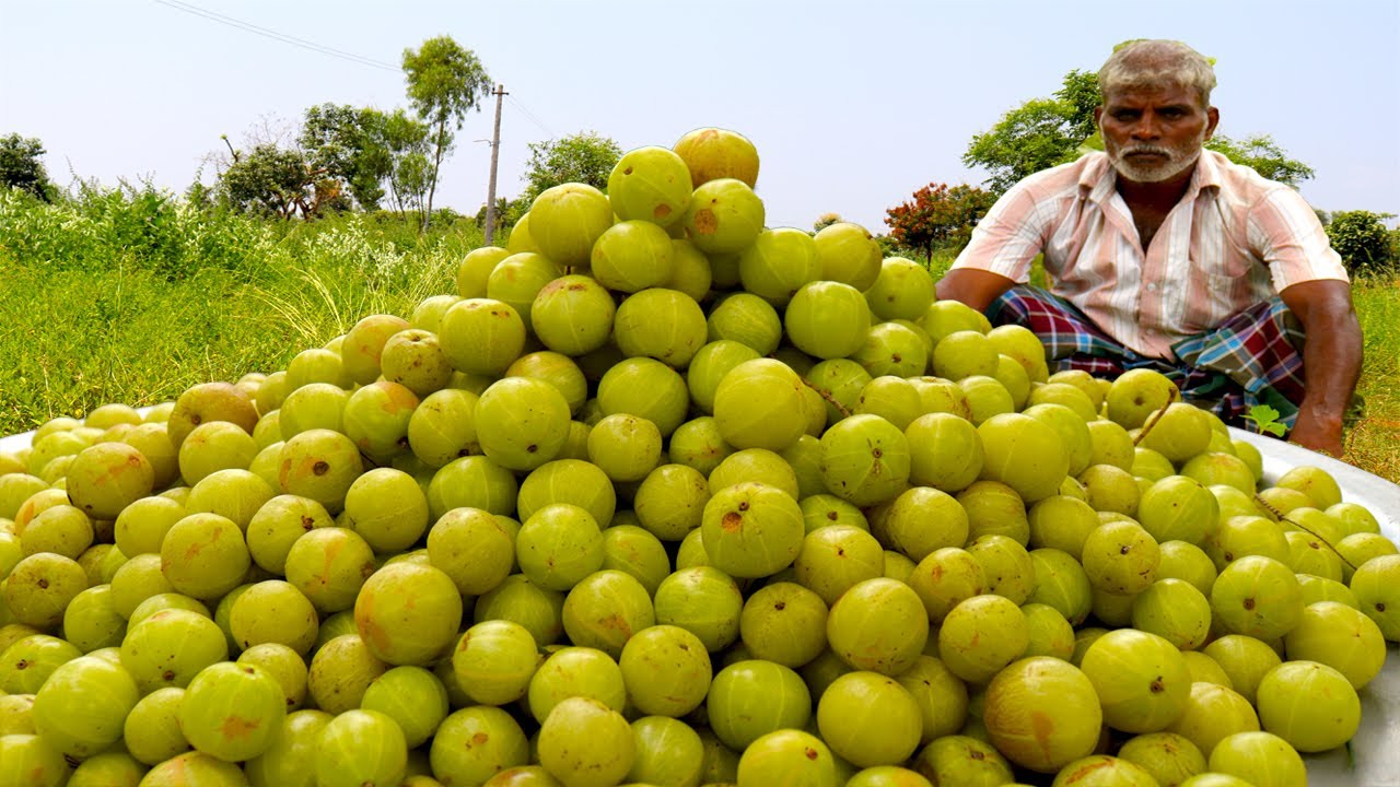 Amla Jam || 27 KG Gooseberry Jam Prepared by uncle || food fun village ...