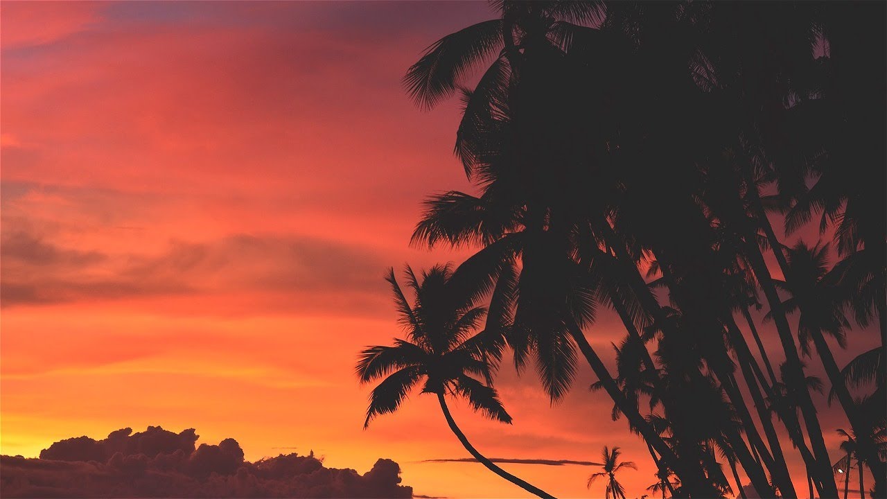 02 - MUZZA - ADICTO AL OCASO (Video Lyric Oficial) - YouTube