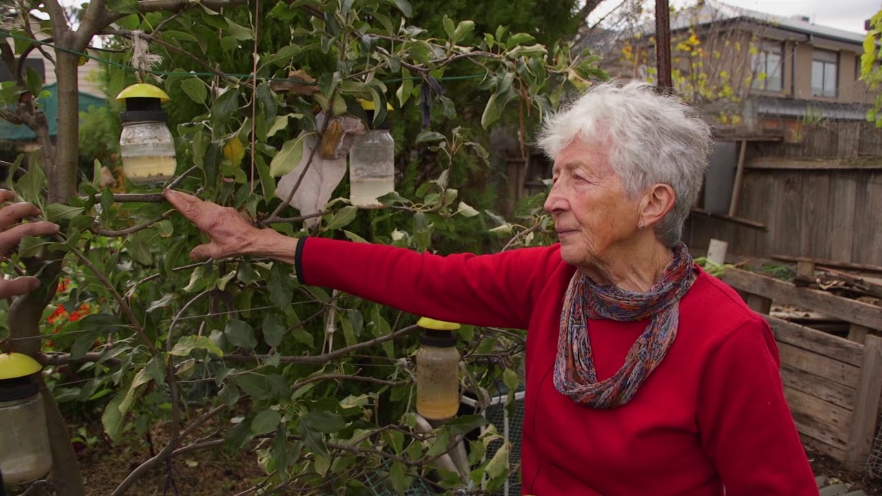 Riki's Garden - Part3 - YouTube