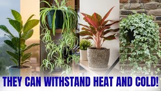 10 Hardy Plants for All Seasons