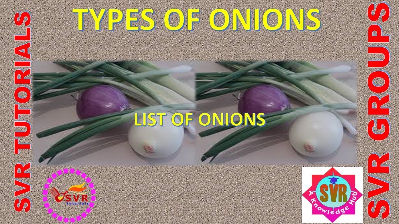 Vegetables List of Onions ││Types Of Onions ││ White Onions││Red Onions ...