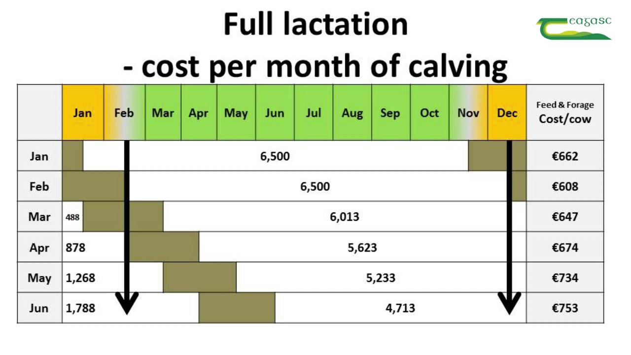 The quantity of milk produced over winter by late calving cows - George ...