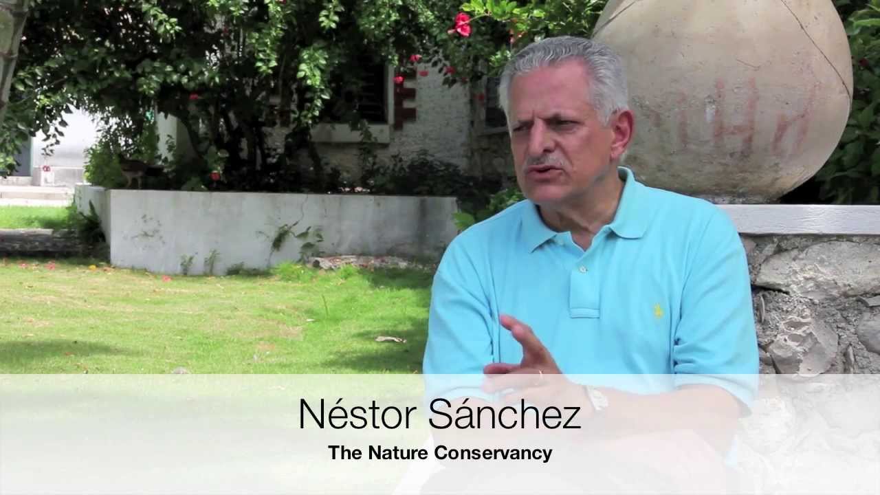 Corridor Biologique Caraibe - Entretien avec Nestor Sanchez - YouTube