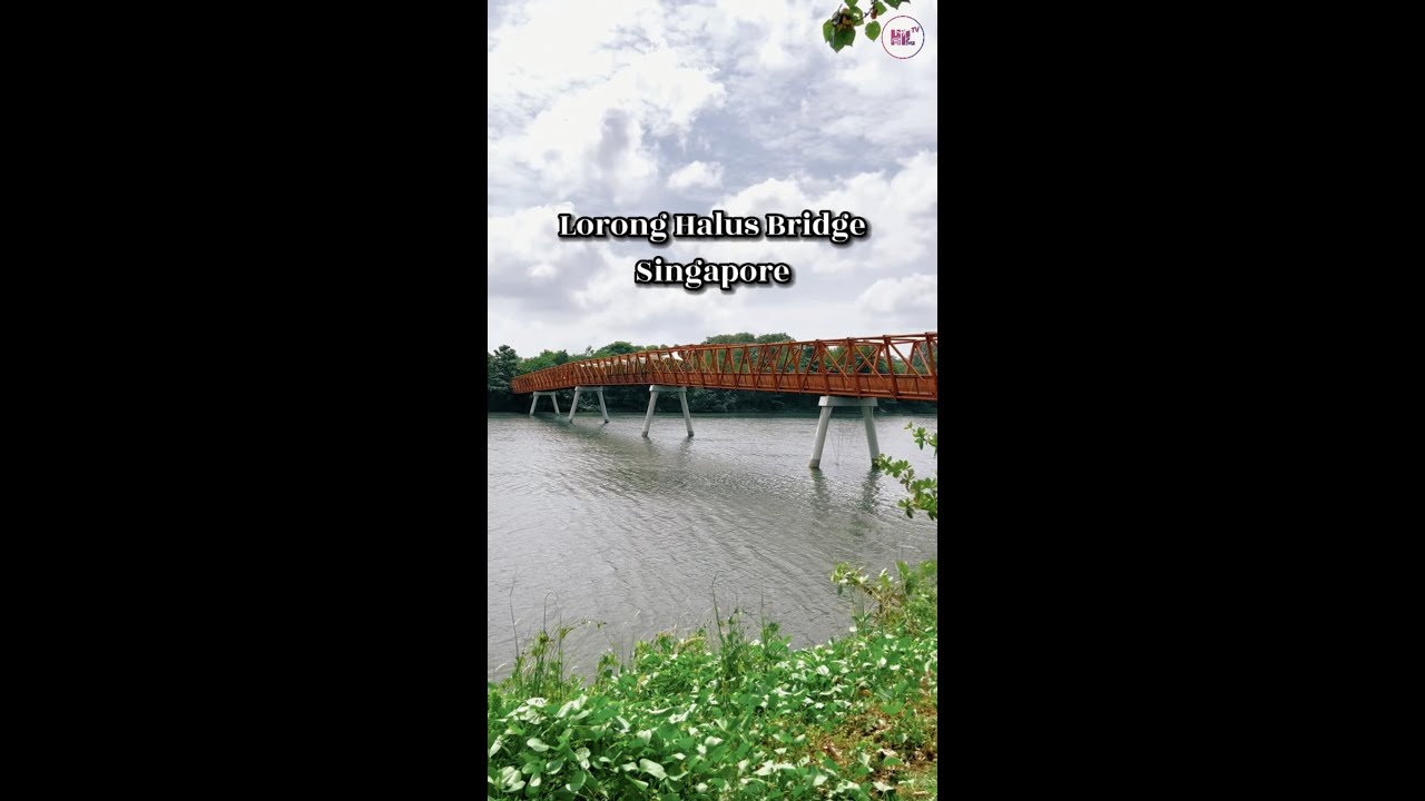Lorong Halus Red Bridge, Singapore | Beautiful Singapore | Hil TV ...