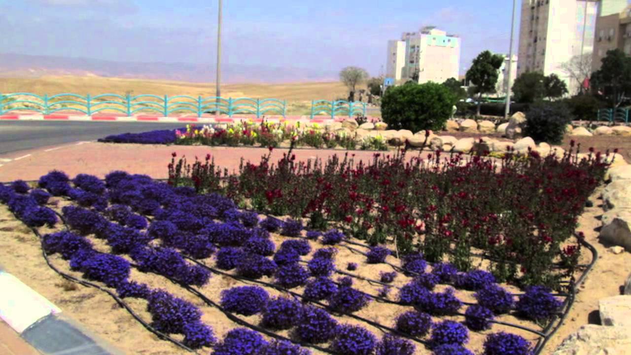 Springtime in Arad, Israel - YouTube
