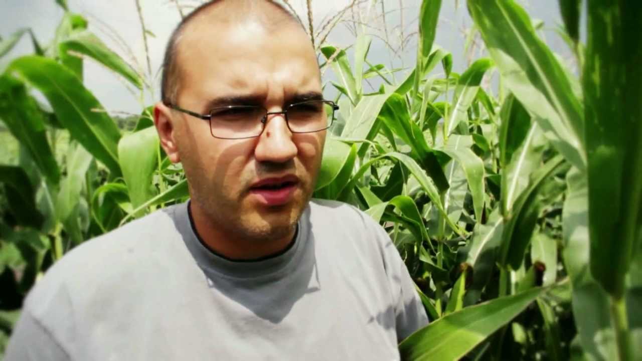 Dekalb sa EkoBooster 2 , Torak - Begejci 2012. - YouTube