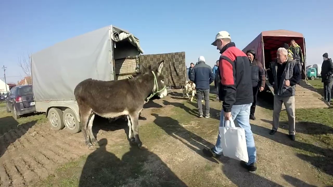 Vasar u Rumi 3.3. 2021 Drugi deo Poljoprivreda - YouTube