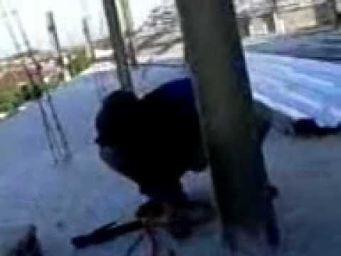 Arab kopler SA.mp4