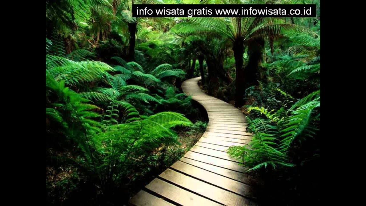 kawasan wisata nusa dua btdc nusa dua bali indonesia 80363 - YouTube