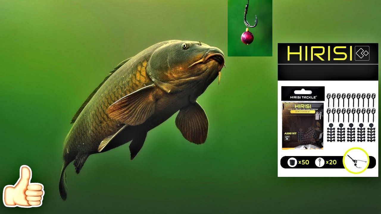 Top angler reveals the secret to catching more carp with rubber beads👍🎣 ...