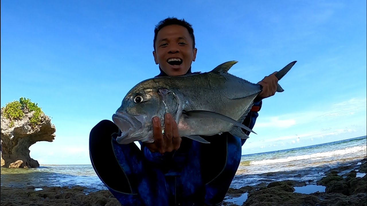 Spot edan!! nyemplung disarang ikan bubara | spearfishing Wakatobi ...