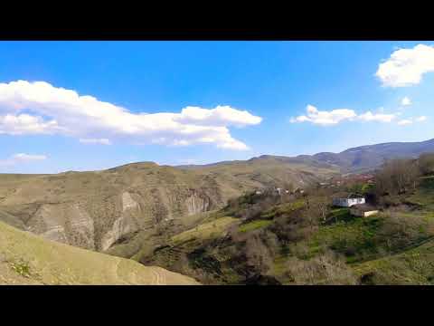 Lerik Rayon Aran Kəndi