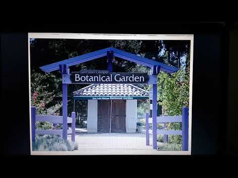 Herbaria.Botanical Garden , Museum ZSI. - YouTube