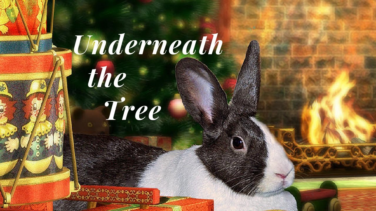 Underneath the Tree ∙ Suzanne's Band (Official Music Video) - YouTube