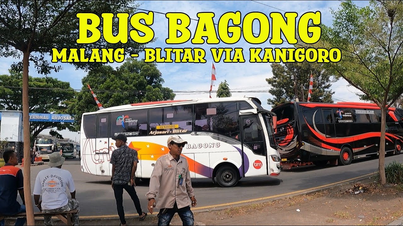 BIS BAGONG MALANG BLITAR, LUMAYAN SAT SET DENGAN HARGA 40.000 #busmania ...