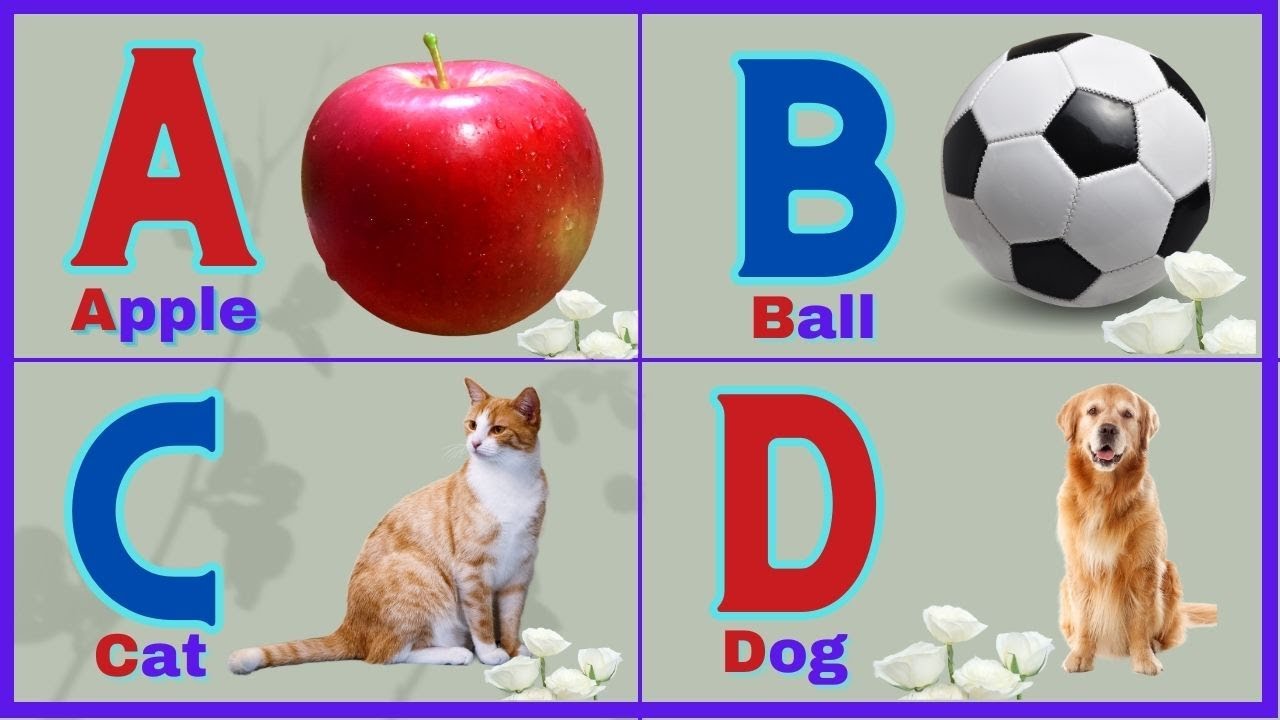 English alphabet learning |Learn Alphabet A to Z with Live example I ...