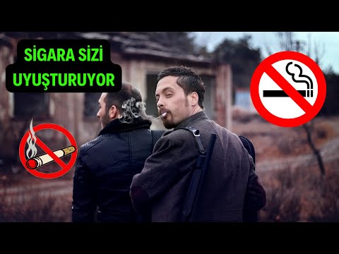 Sigara ve Uyuşukluk: Nikotinin Beyin Üzerindeki Derin Etkileri