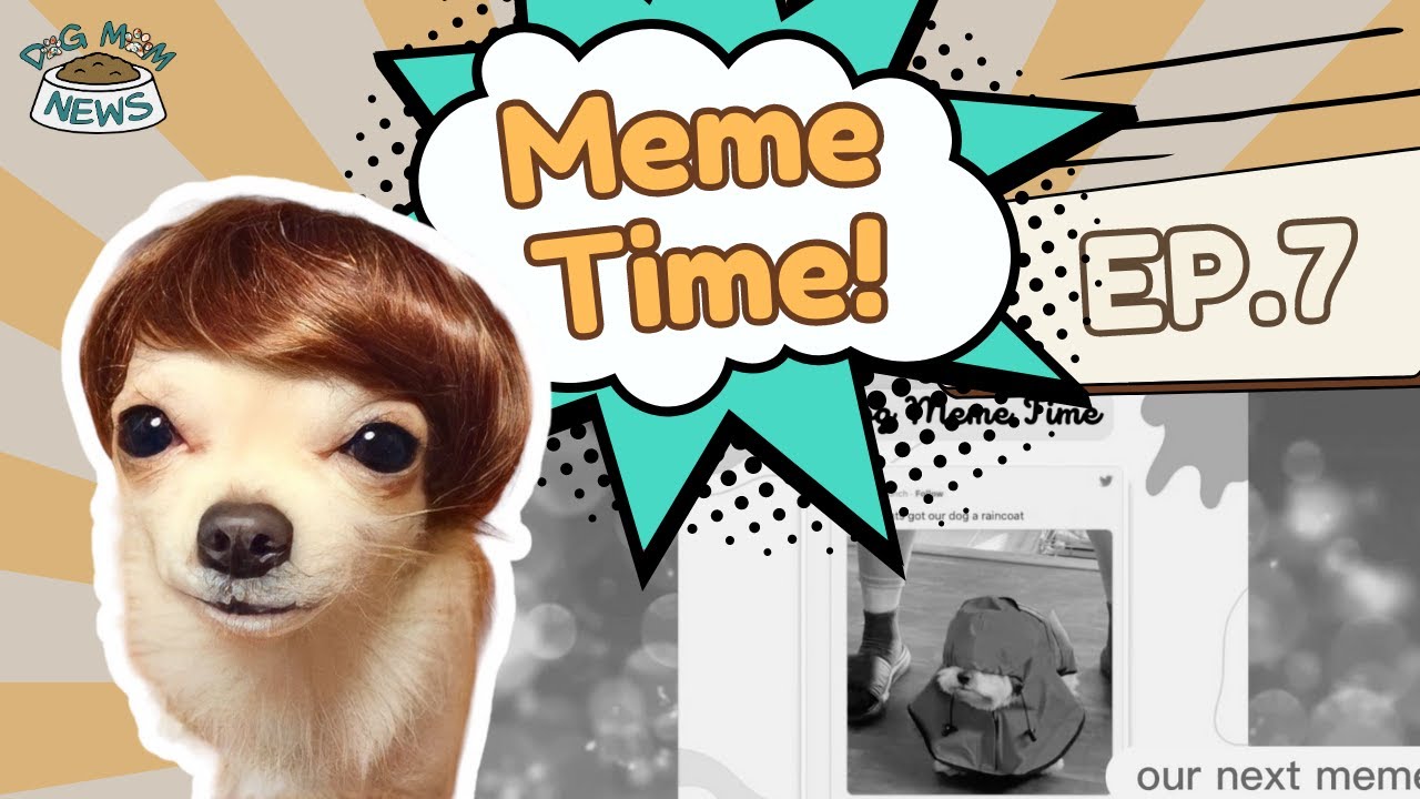 Dogs That Will Make You Laugh Out Loud (Dog Meme Time) | EP 7 - YouTube