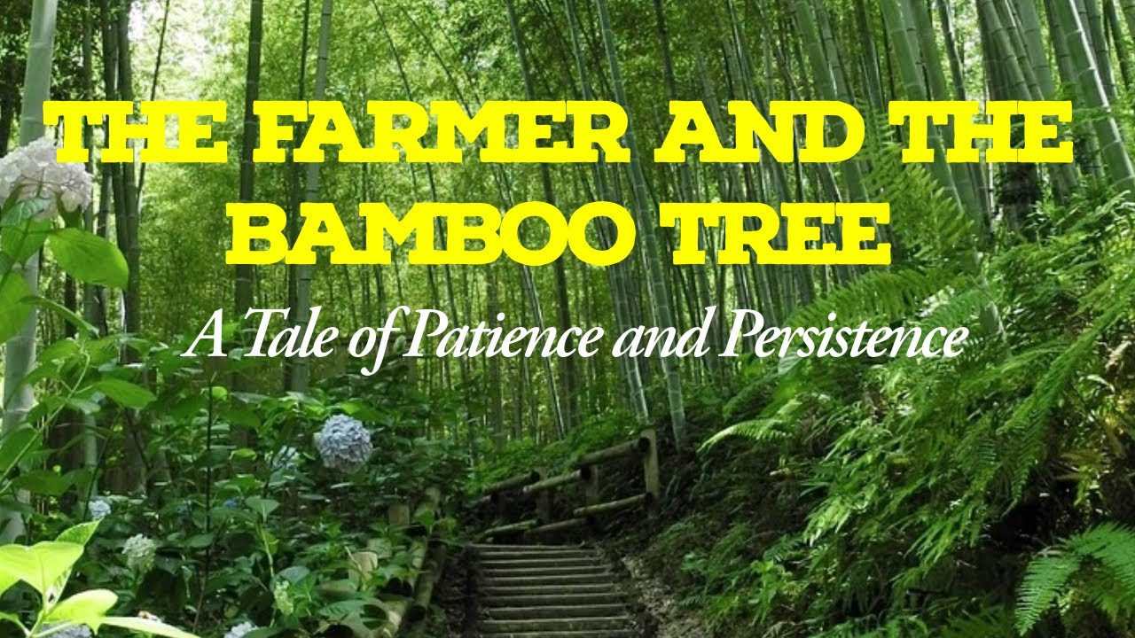 The Farmer and the Bamboo Tree: A Tale of Patience and Persistence ...