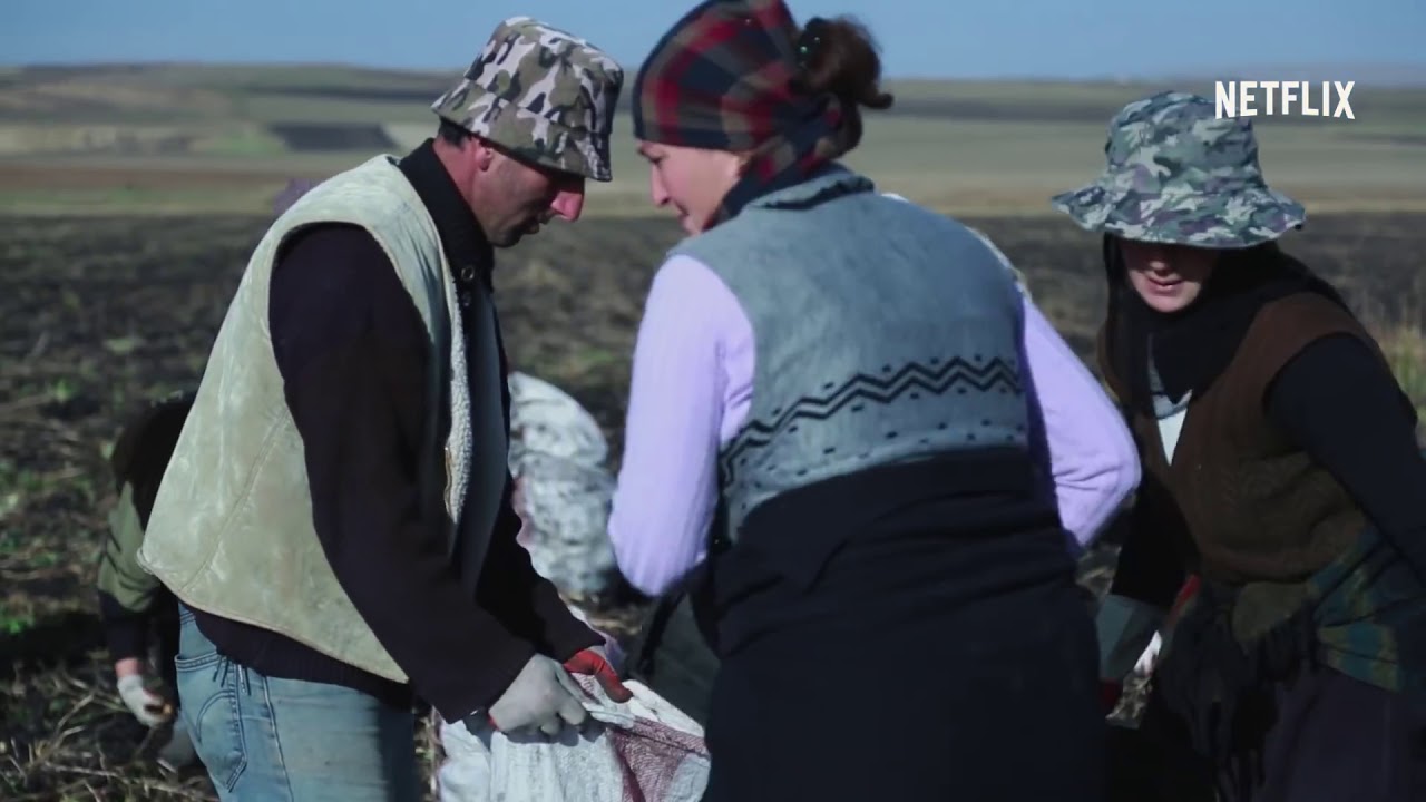 The Trader (Sovdagari) Official Trailer HD Netflix - YouTube