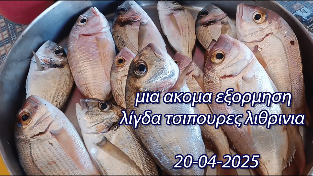 πασχαλινο ψαρεμα κυριακης 20/04/2025 - YouTube