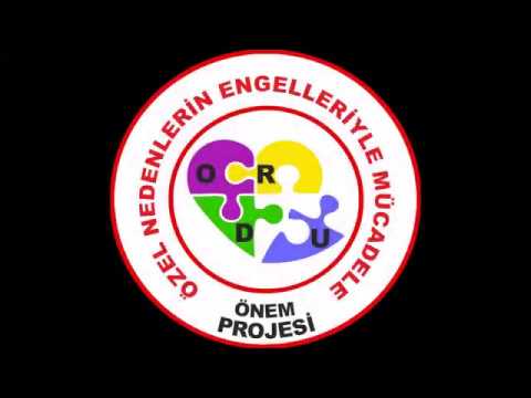 İŞARET DİLİ-HAYAT BAYRAM OLSA-2.BÖLÜM (12-19 HAZİRAN 2020)