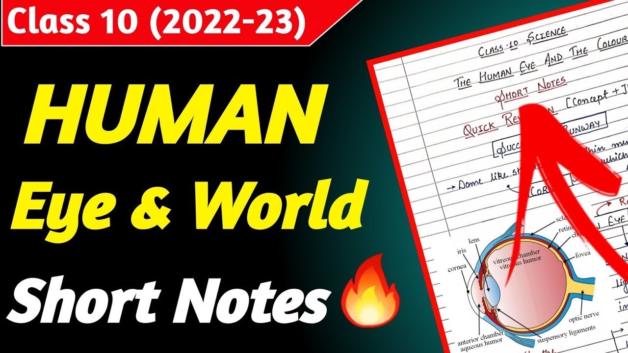 Human Eye and Colourful World Notes Class 10 Science | Class 10 Science ...