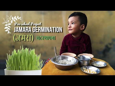 DIY Jamara Germination | Pre-school Project for kids | जमरा | घटस्थापना ...