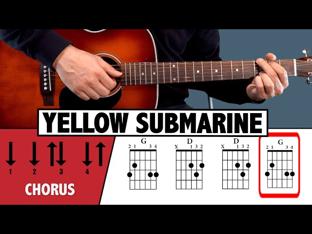 Acordes De Guitarra Del Submarino Amarillo Nelson, Un Animal