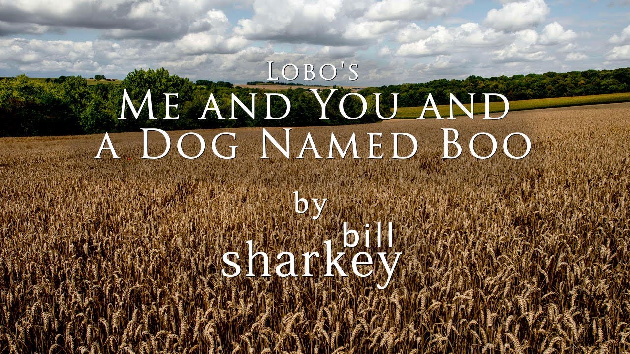 Me and You and a Dog Named Boo - Lobo (cover-live by Bill Sharkey ...