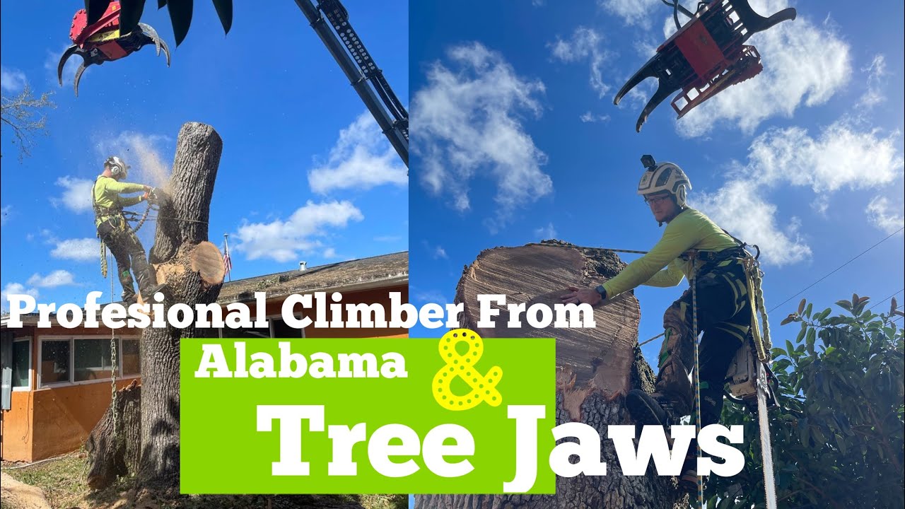 Profesional Climber From Alabama Visits South Floridas First Robotic ...
