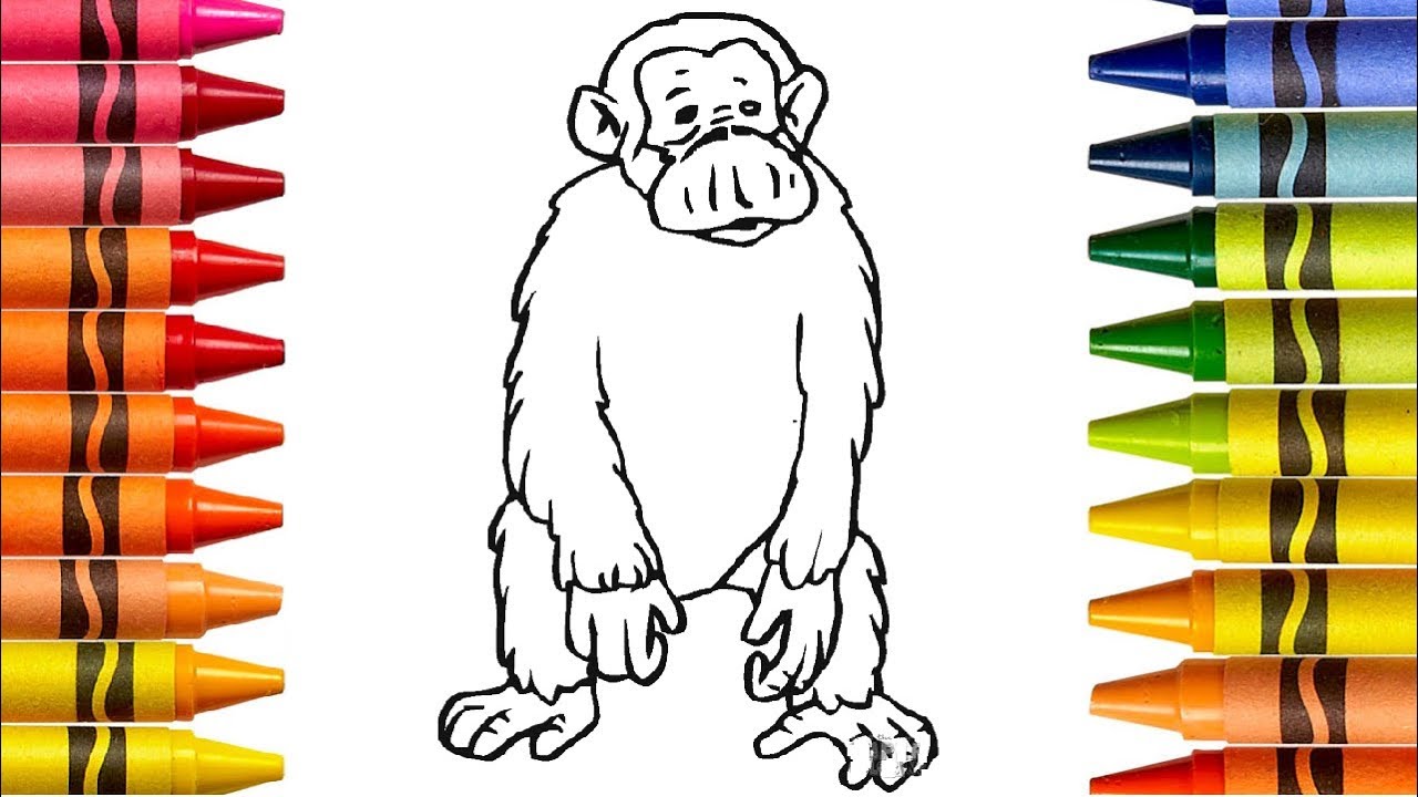 Learning Colors | Funny Monkey Coloring Page - YouTube
