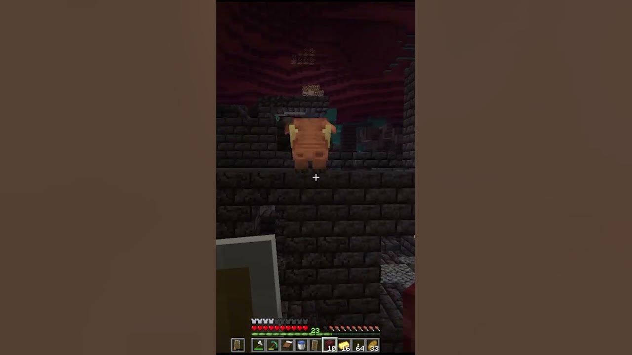 Chatting With Hoglins Minecraft Youtube