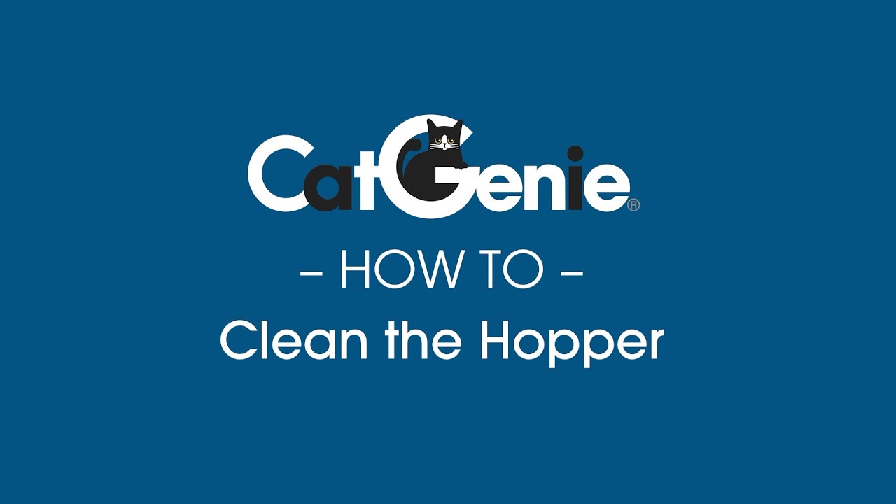 CatGenie Care: How To Clean the Hopper - YouTube