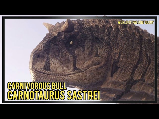Carnotaurus Sastrei By Carnosaur DINOSAURICON C | Tsjok's Blog