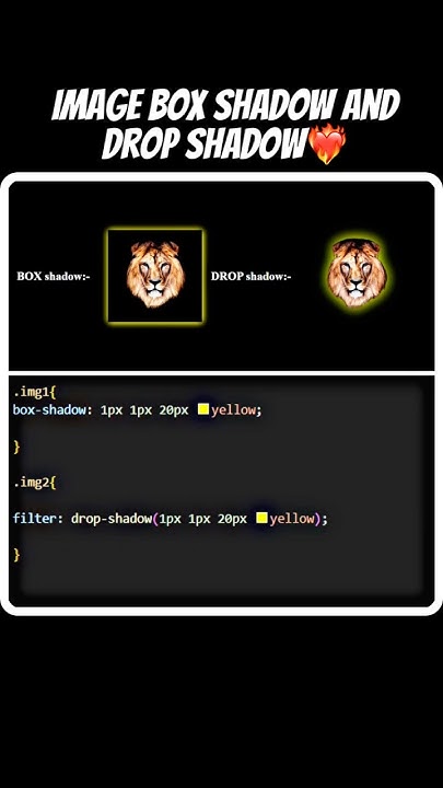 Image Box Shadow and Drop Shadow By Using HTML/CSS || By _CodewithMs ...