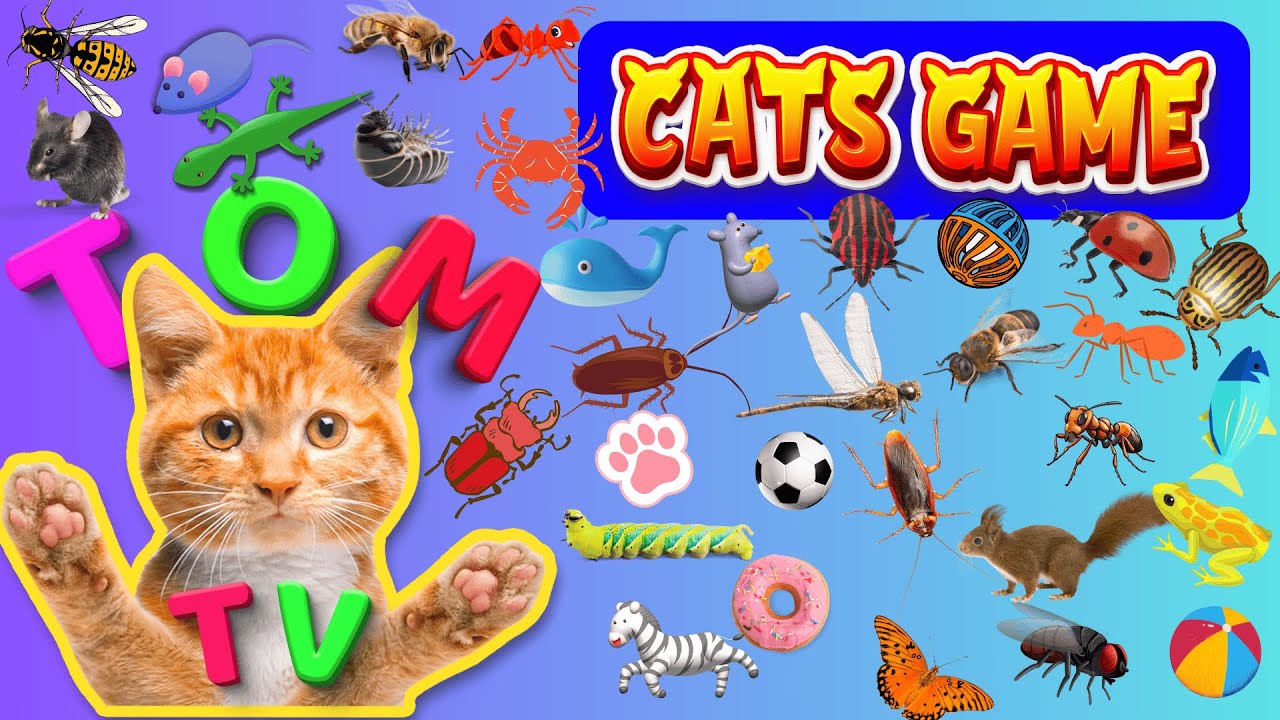 Cat Game Tom TV | Ultimate Cat TV Compilation Vol 36 | 3 HOUR | GAME ...