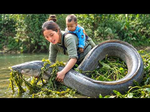 Harvesting HUGE Fish Ponds with Children to Sell - Traping Fish by Hand