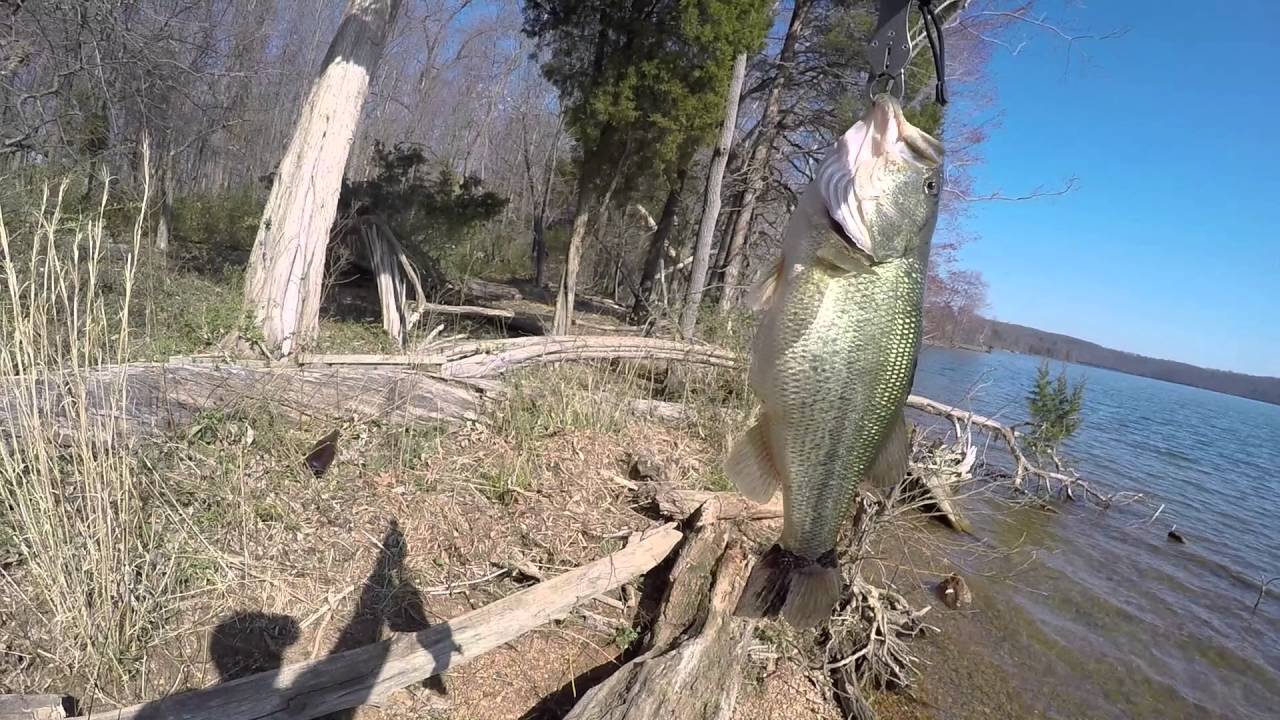 Loch Raven Bass Fishing Encore - YouTube