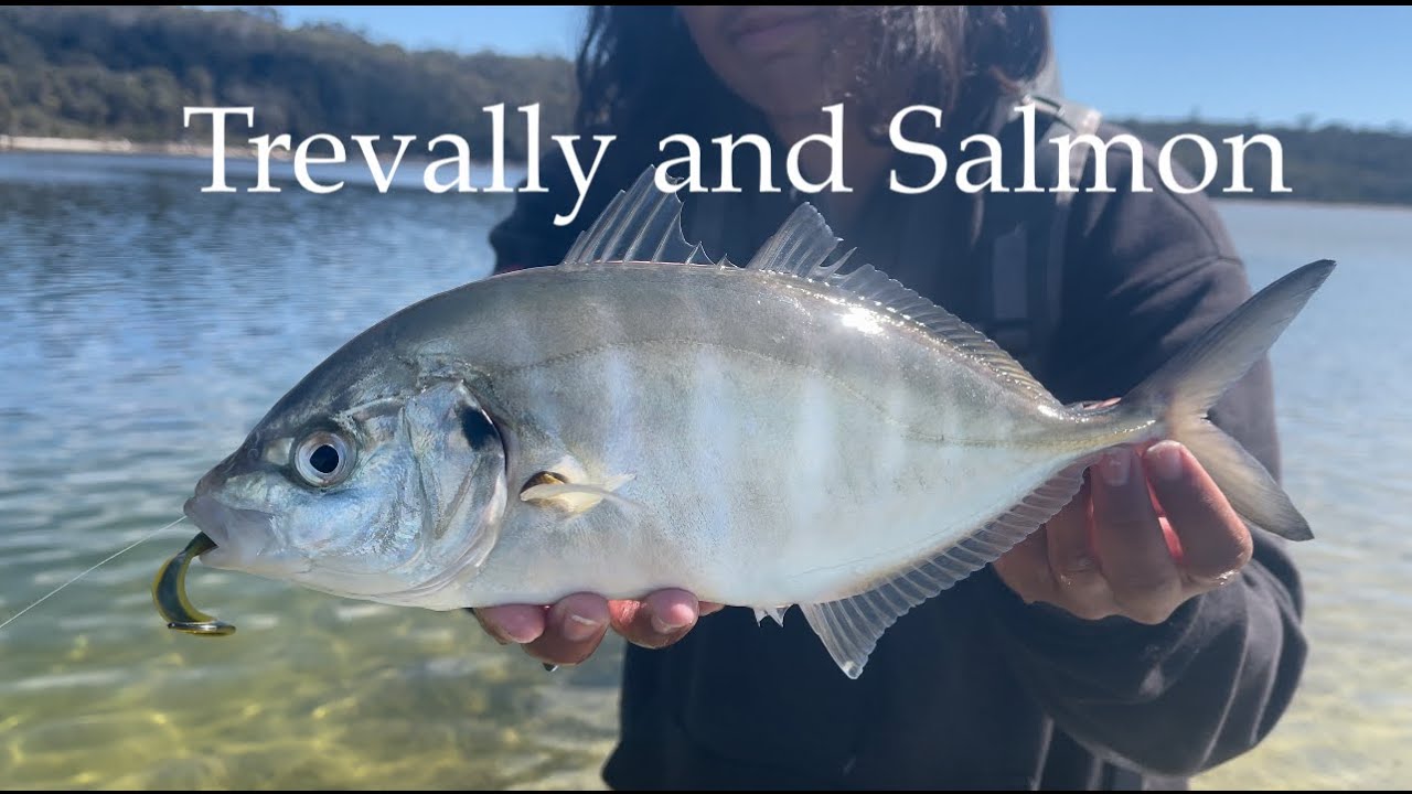 East Coast | Silver Trevally and Salmon - YouTube